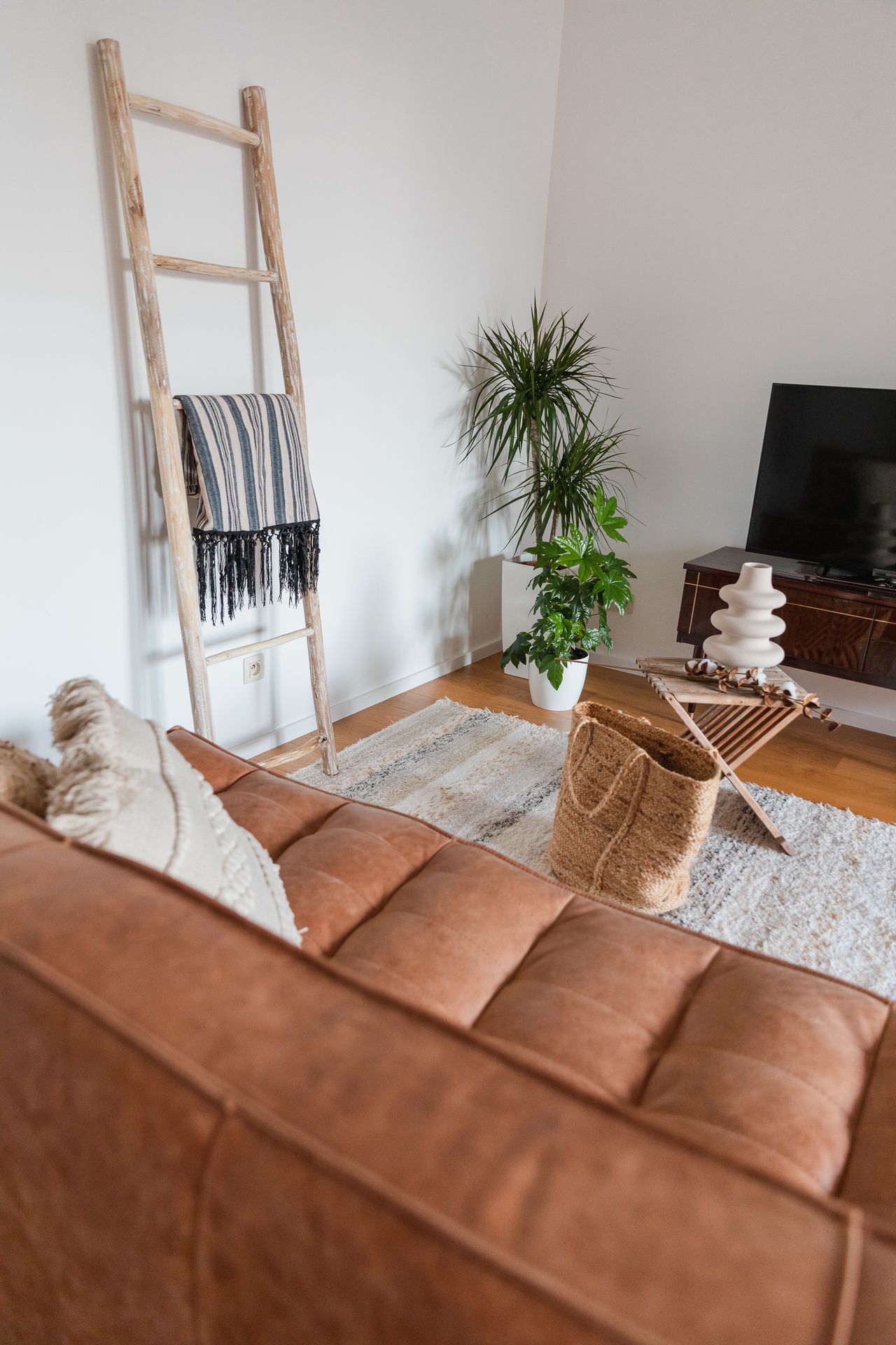 Meet our Member Moenia | Live Light